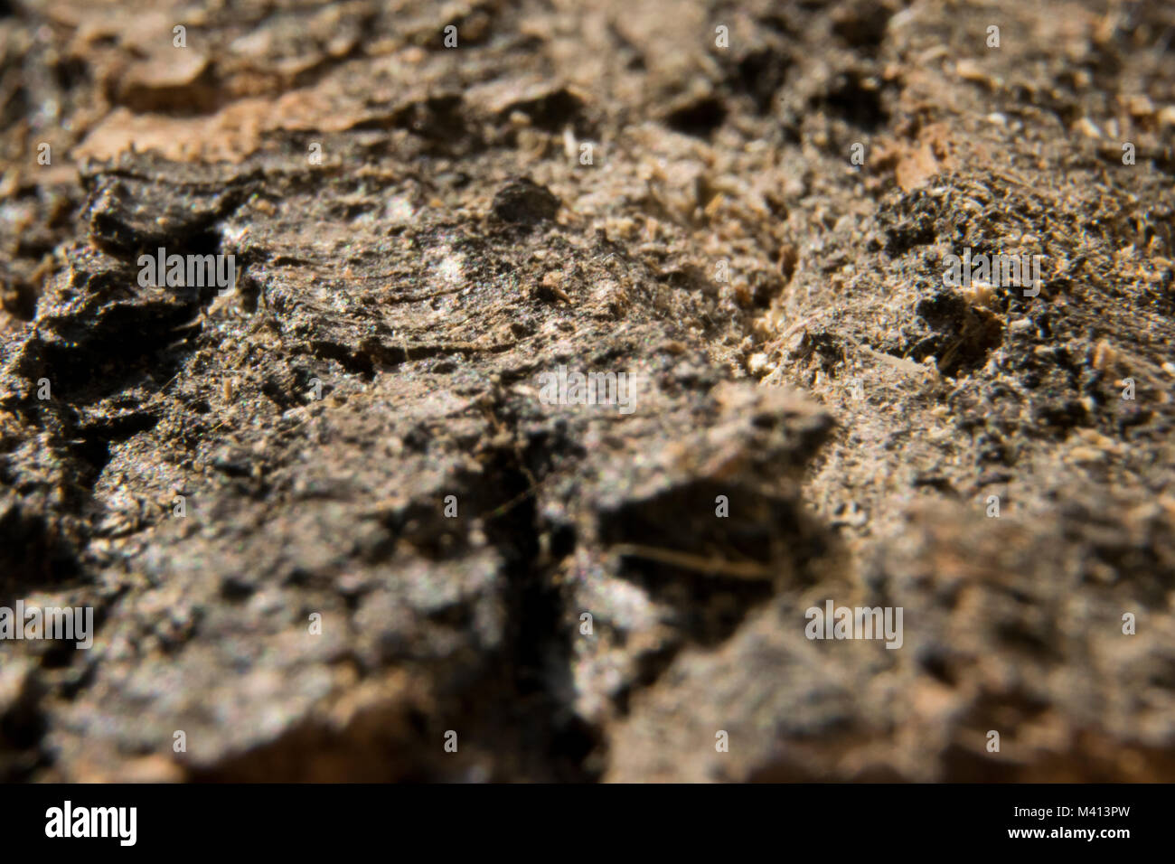 Crust texture hi-res stock photography and images - Alamy