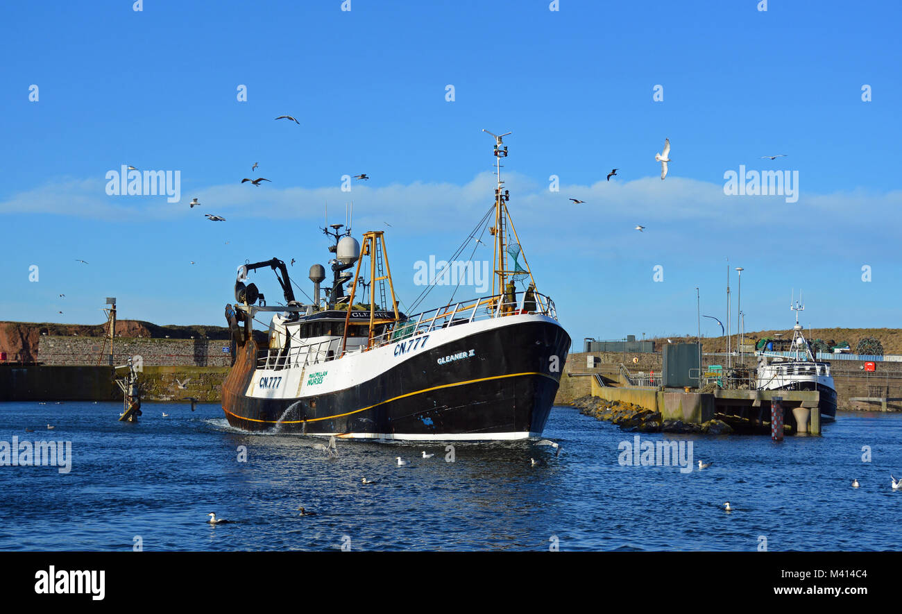 Trawler north sea scottish hi-res stock photography and images - Alamy