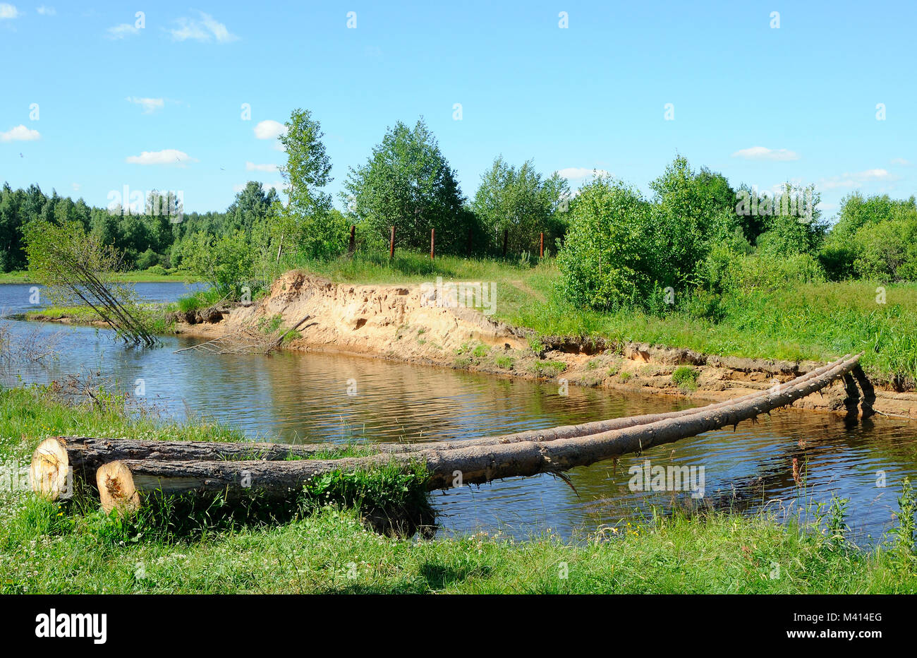 Natural bridge made of pine logs Stock Photo - Alamy