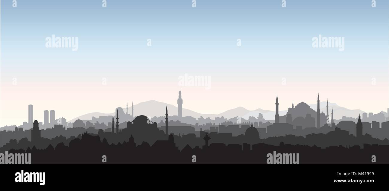 Istanbul city skyline. Travel Turkey background. Urban panoramic view ...