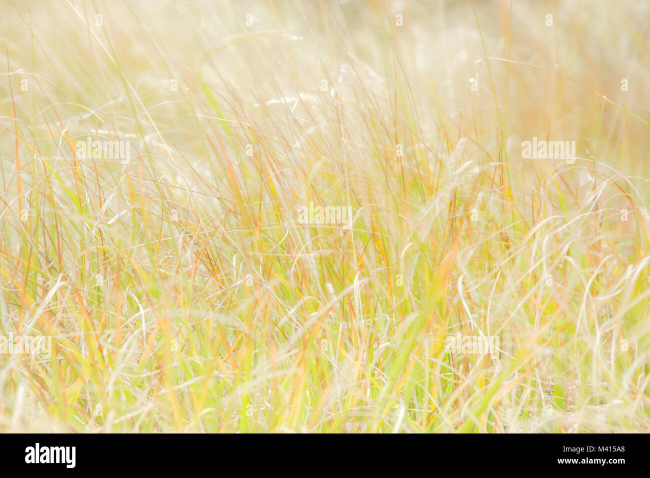 Bright Nature Background Stock Photo - Alamy