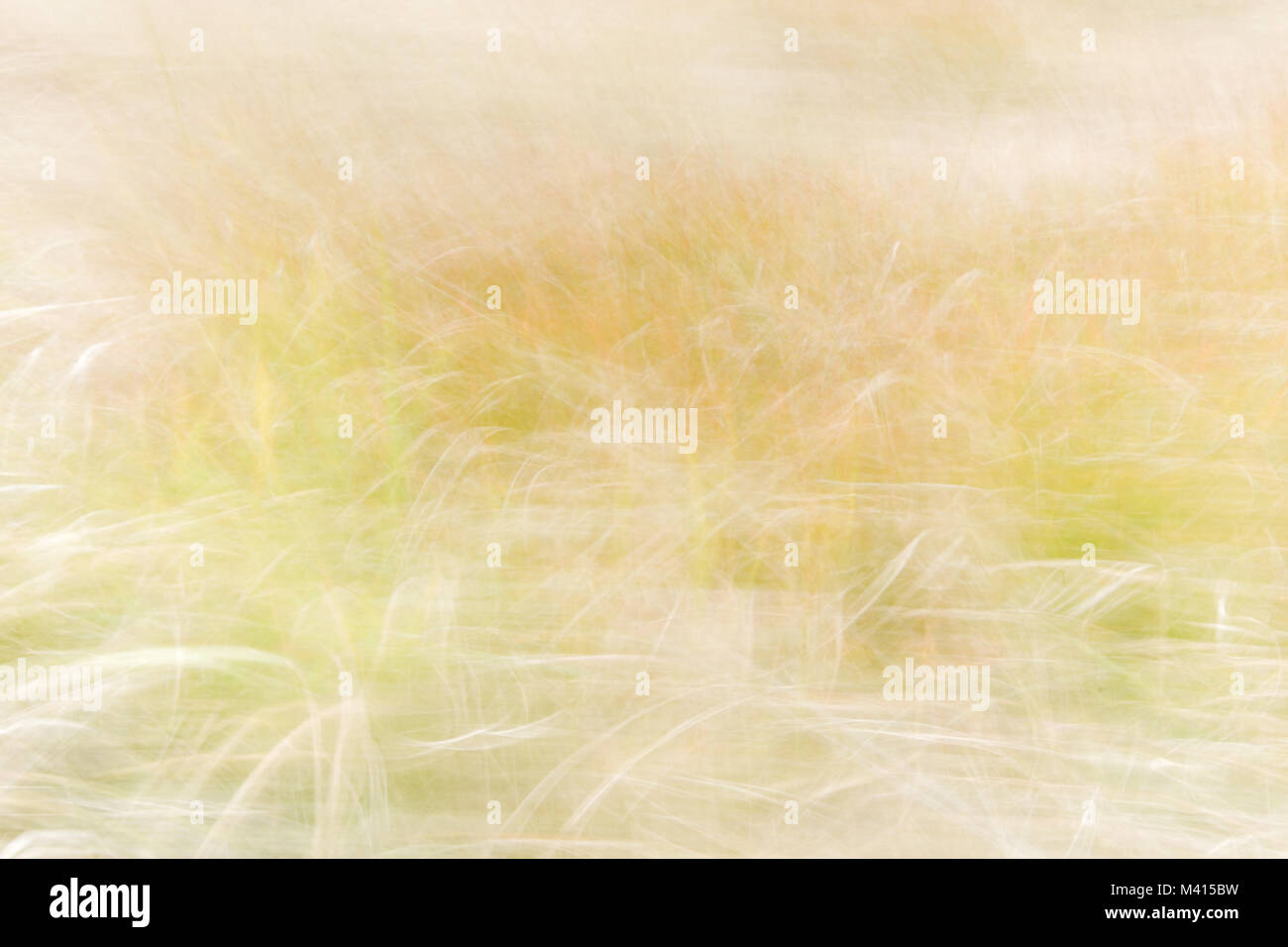Bright Nature Background Stock Photo - Alamy