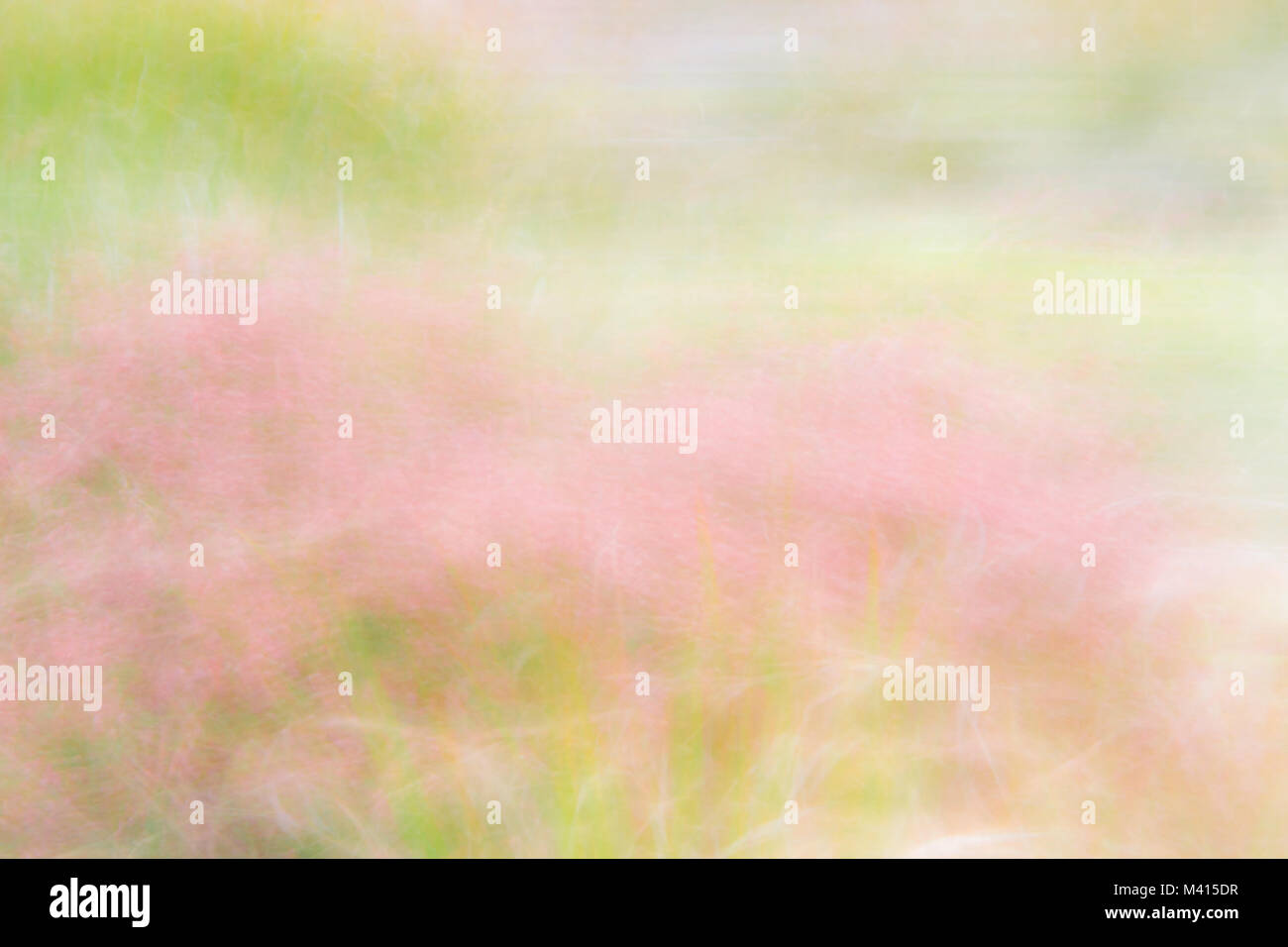 Bright Nature Background Stock Photo - Alamy
