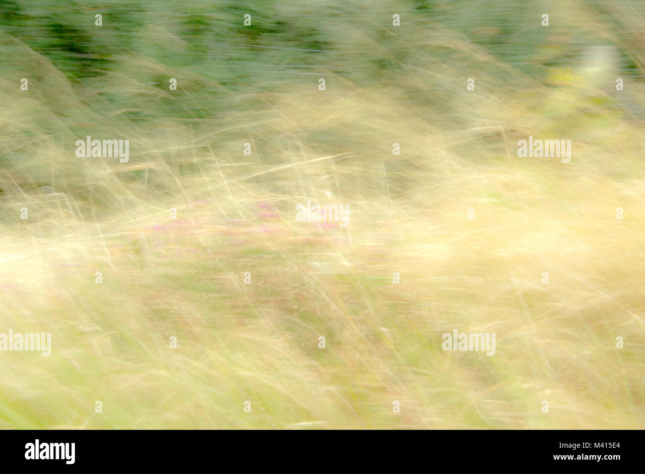 Bright Nature Background Stock Photo - Alamy