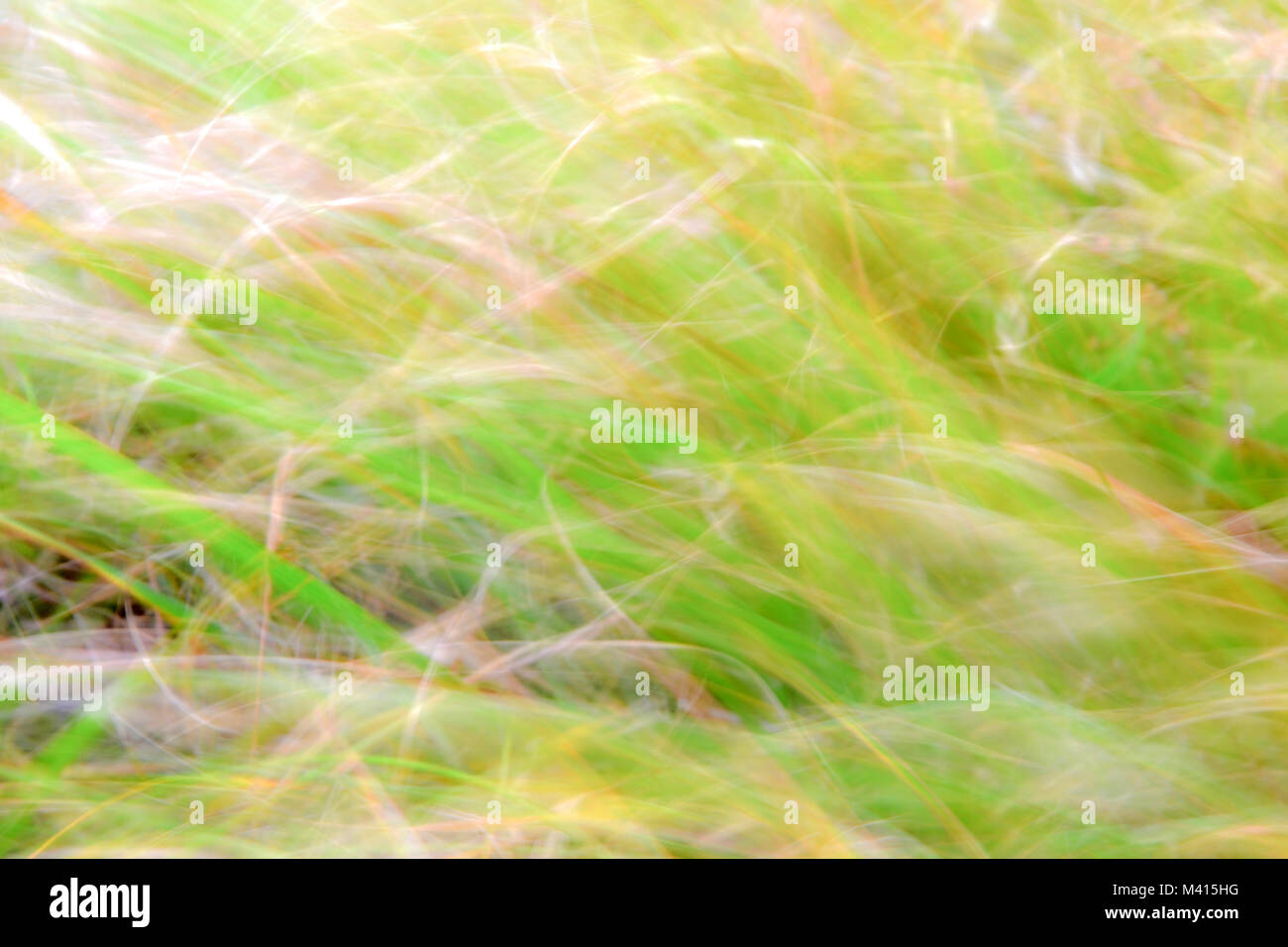 Bright Nature Background Stock Photo - Alamy
