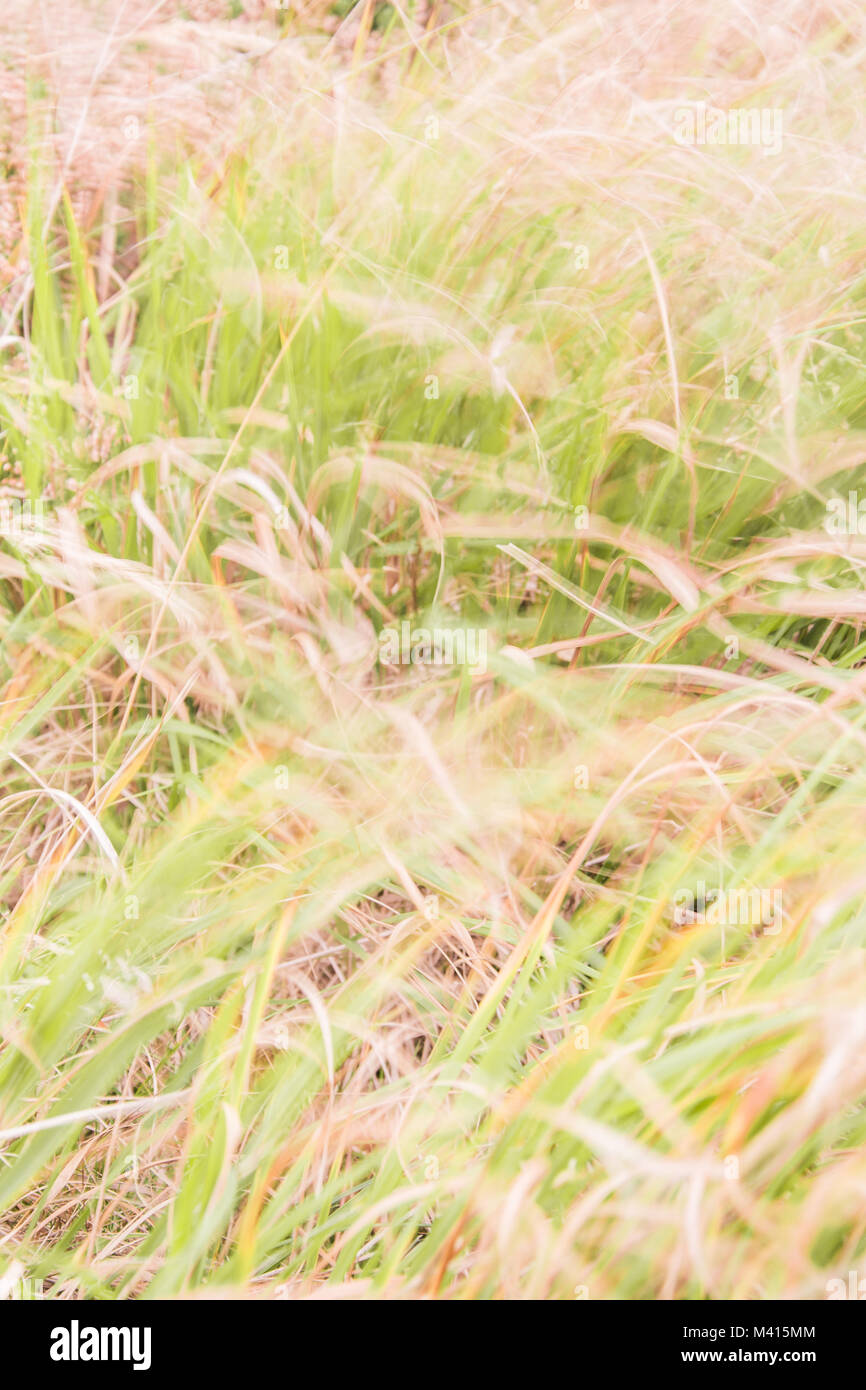 Bright Nature Background Stock Photo - Alamy