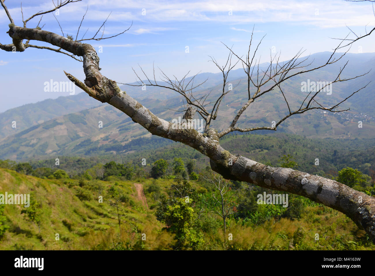 the branch on mountain view this point for tourism climb and relax from ...