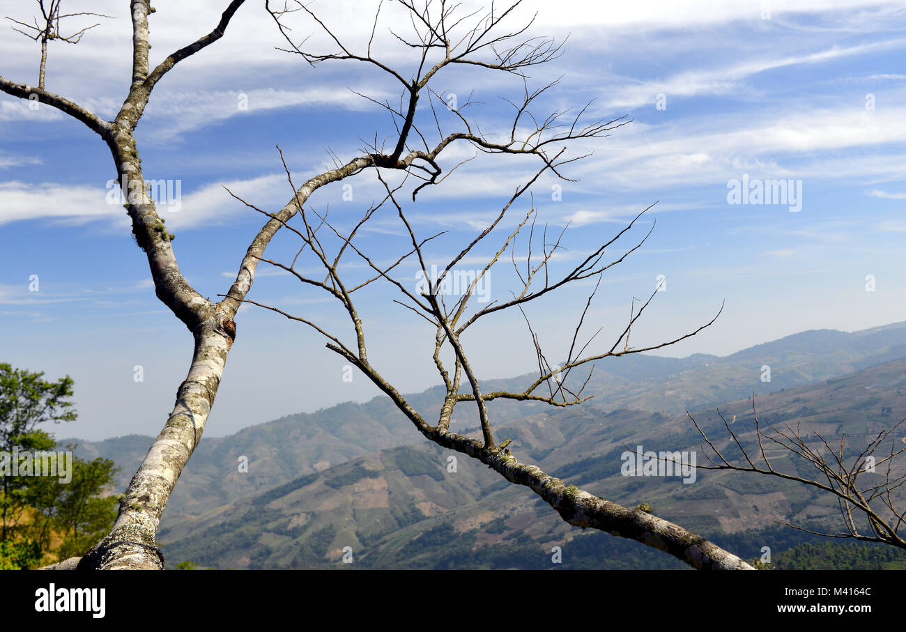 the branch on mountain view this point for tourism climb and relax from ...