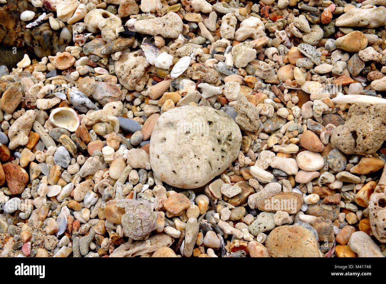 colorful tropical beach natural ocean gravel and sand rock Stock Photo ...