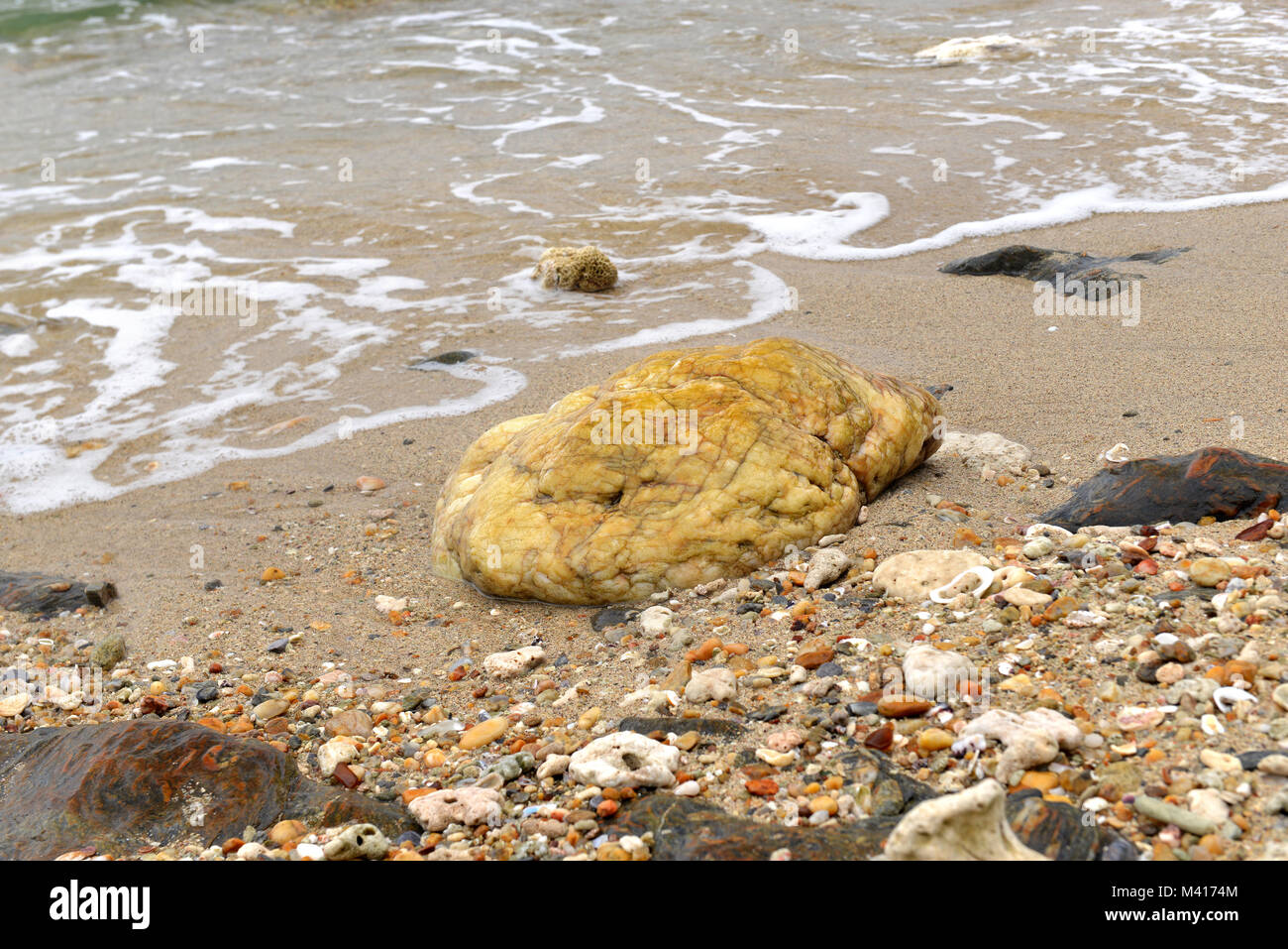 colorful tropical beach natural ocean gravel and sand rock Stock Photo ...