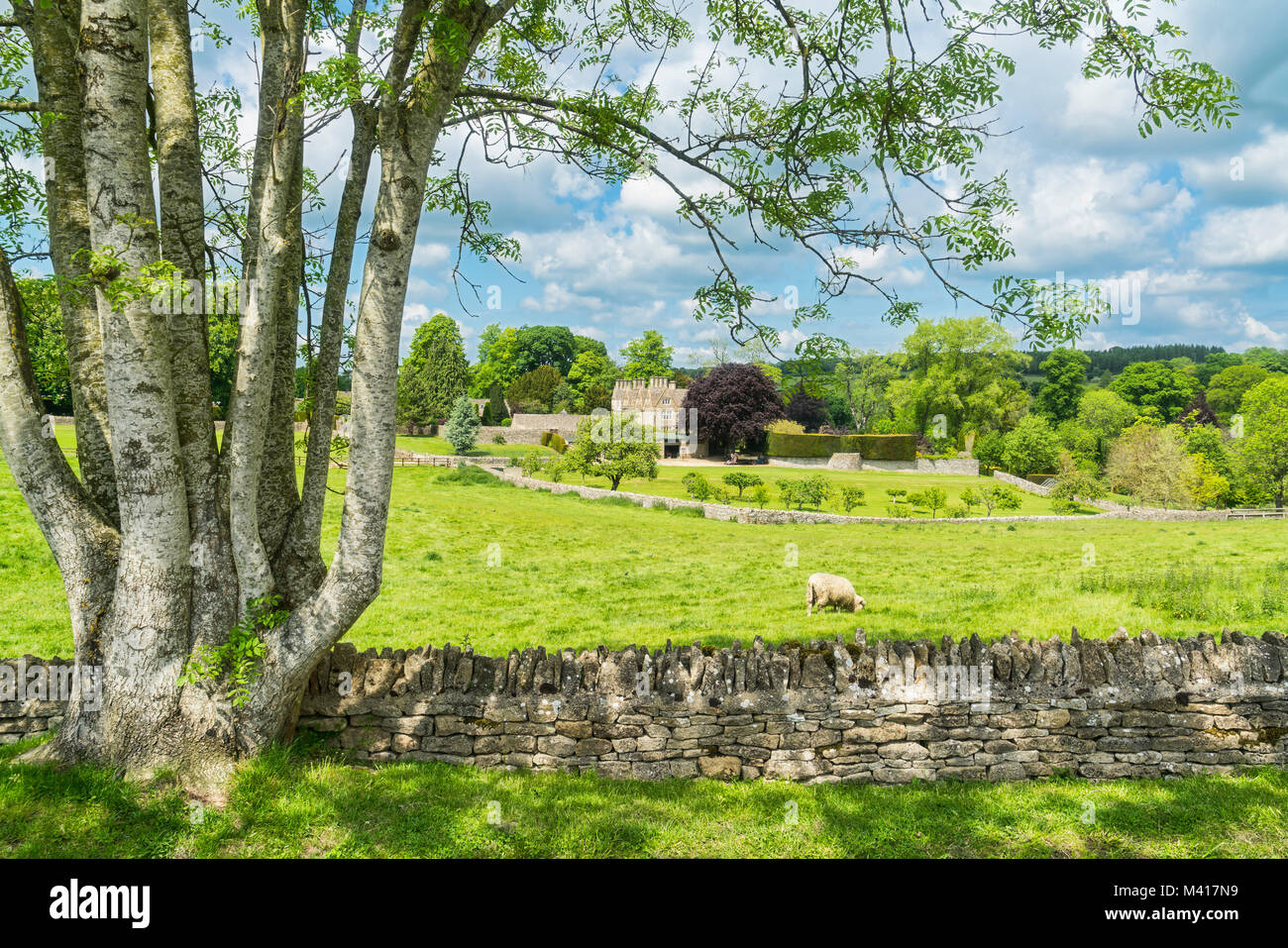 Cotswold countryside views, fields, landscape, near Lower, Slaughter ...