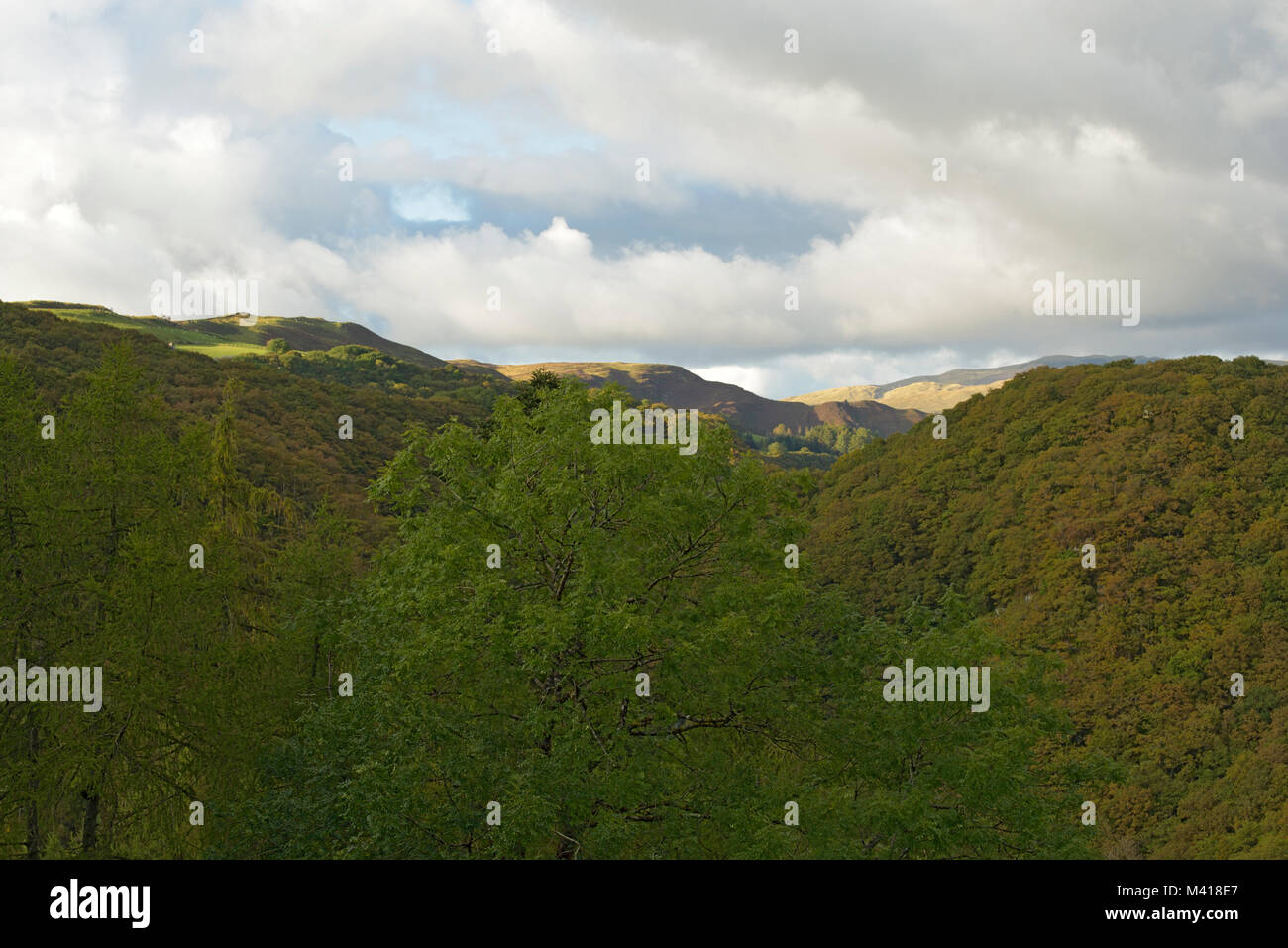 River rheidol hi-res stock photography and images - Alamy