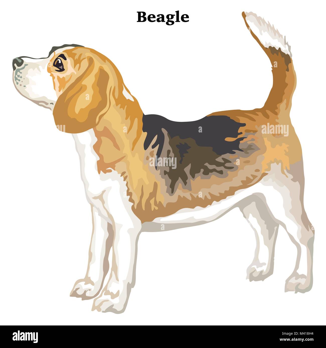 Beagle silhouette hi-res stock photography and images - Alamy