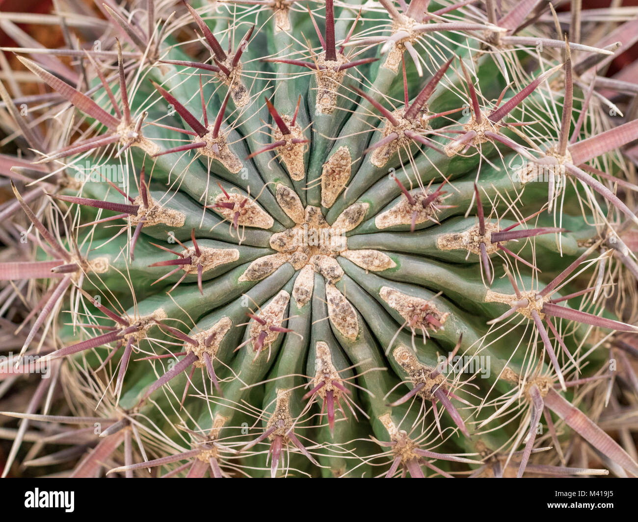 Well protected hi-res stock photography and images - Alamy