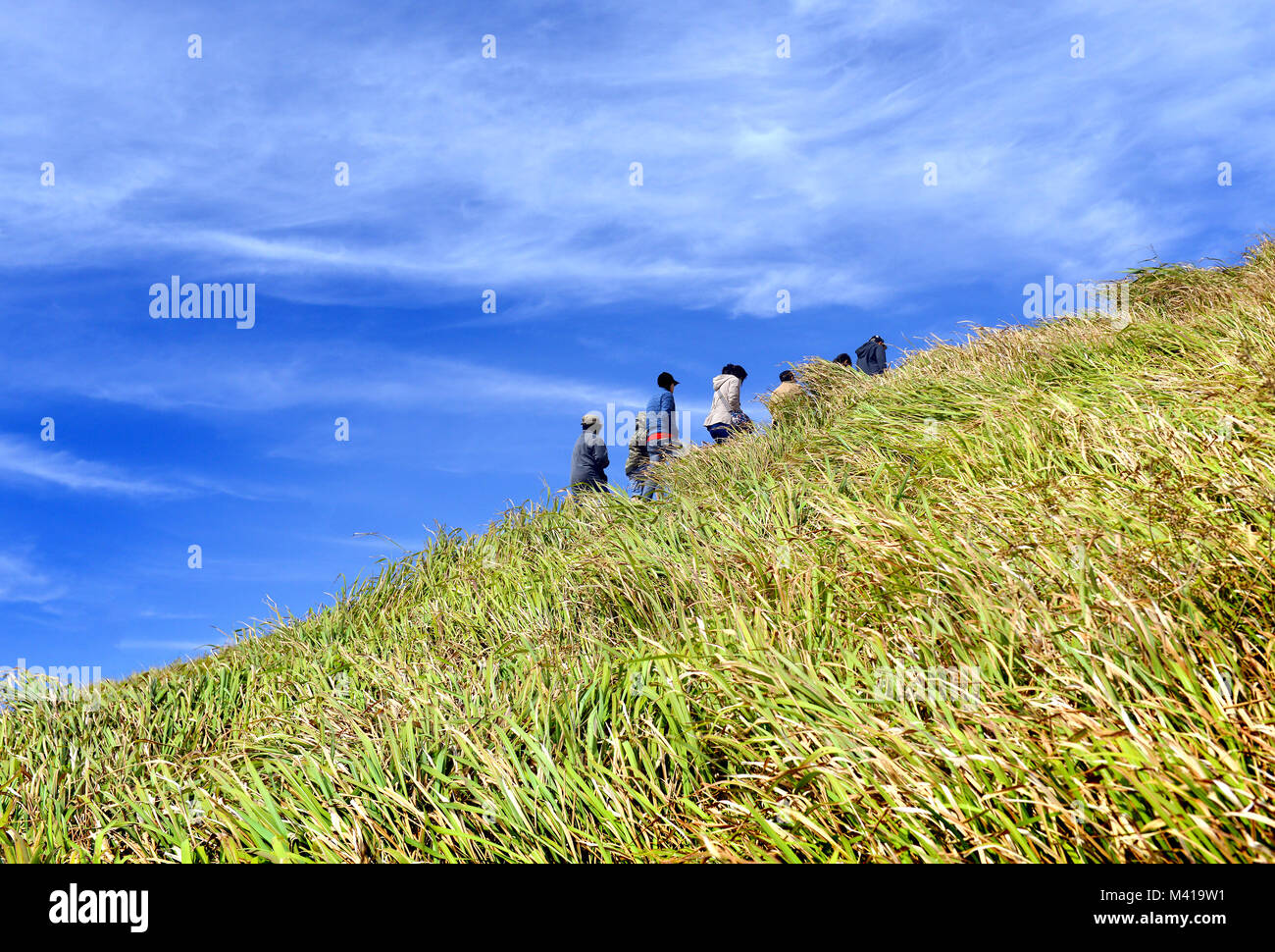 mountain view point landmark panorama fresh air on the top of the big ...
