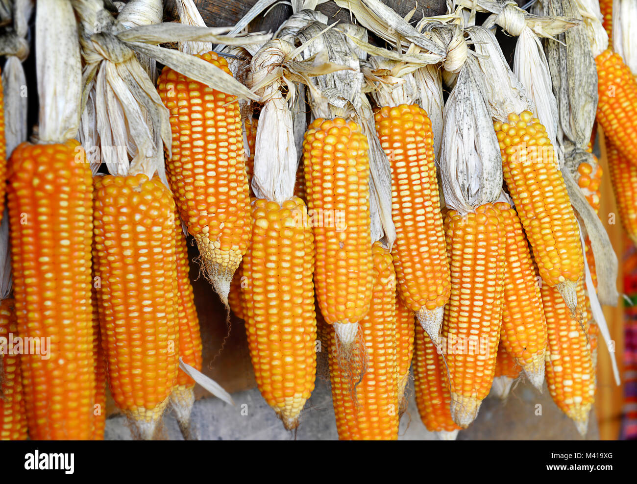 Traditional barn drying corn hi-res stock photography and images - Alamy
