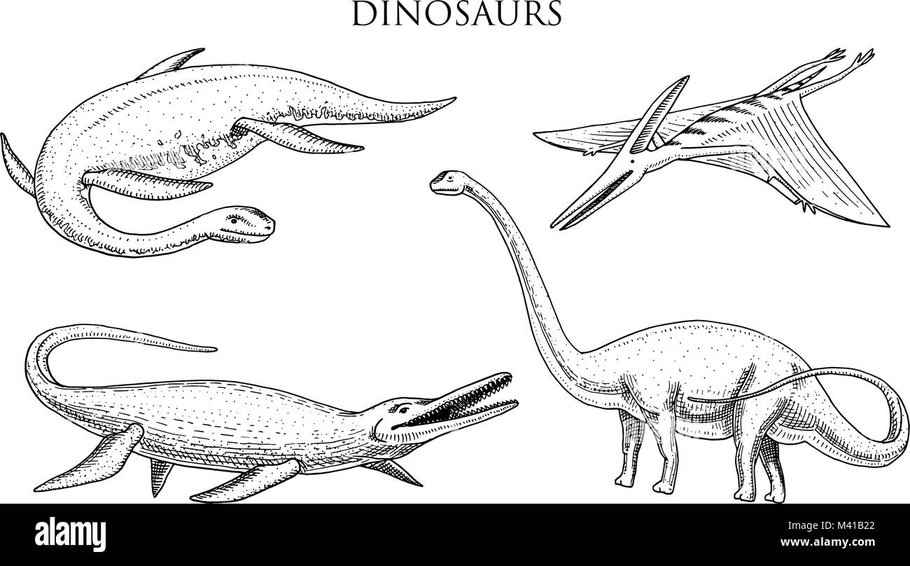 Dinosaurs Elasmosaurus, Mosasaurus, Barosaurus, Diplodocus, Apatosaurus ...