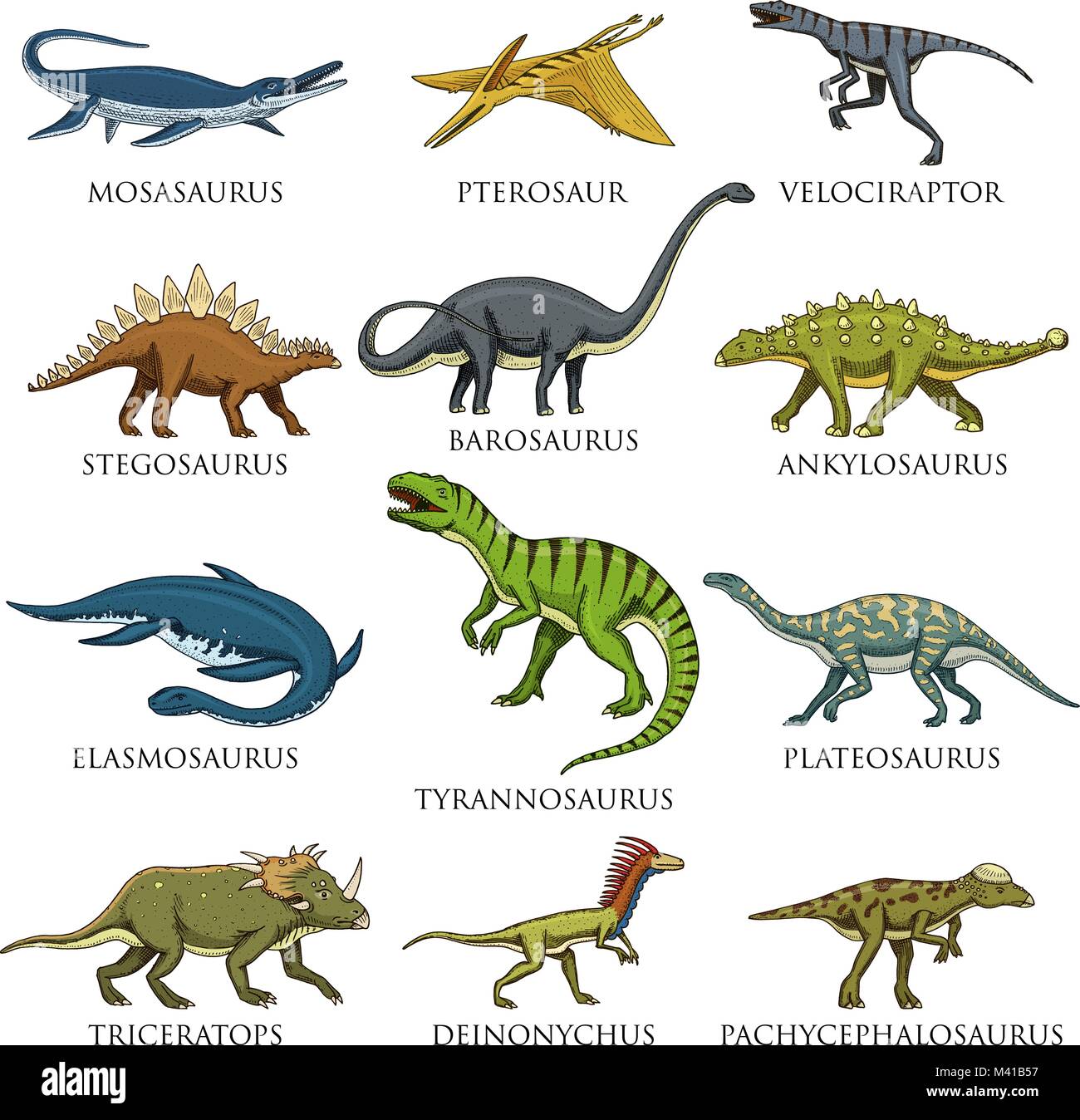 Dinosaurs set, Tyrannosaurus rex, Triceratops, Barosaurus, Diplodocus ...