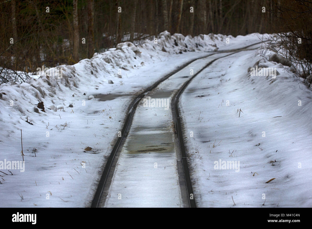 dull landscape with railroad rails in winter Stock Photo - Alamy