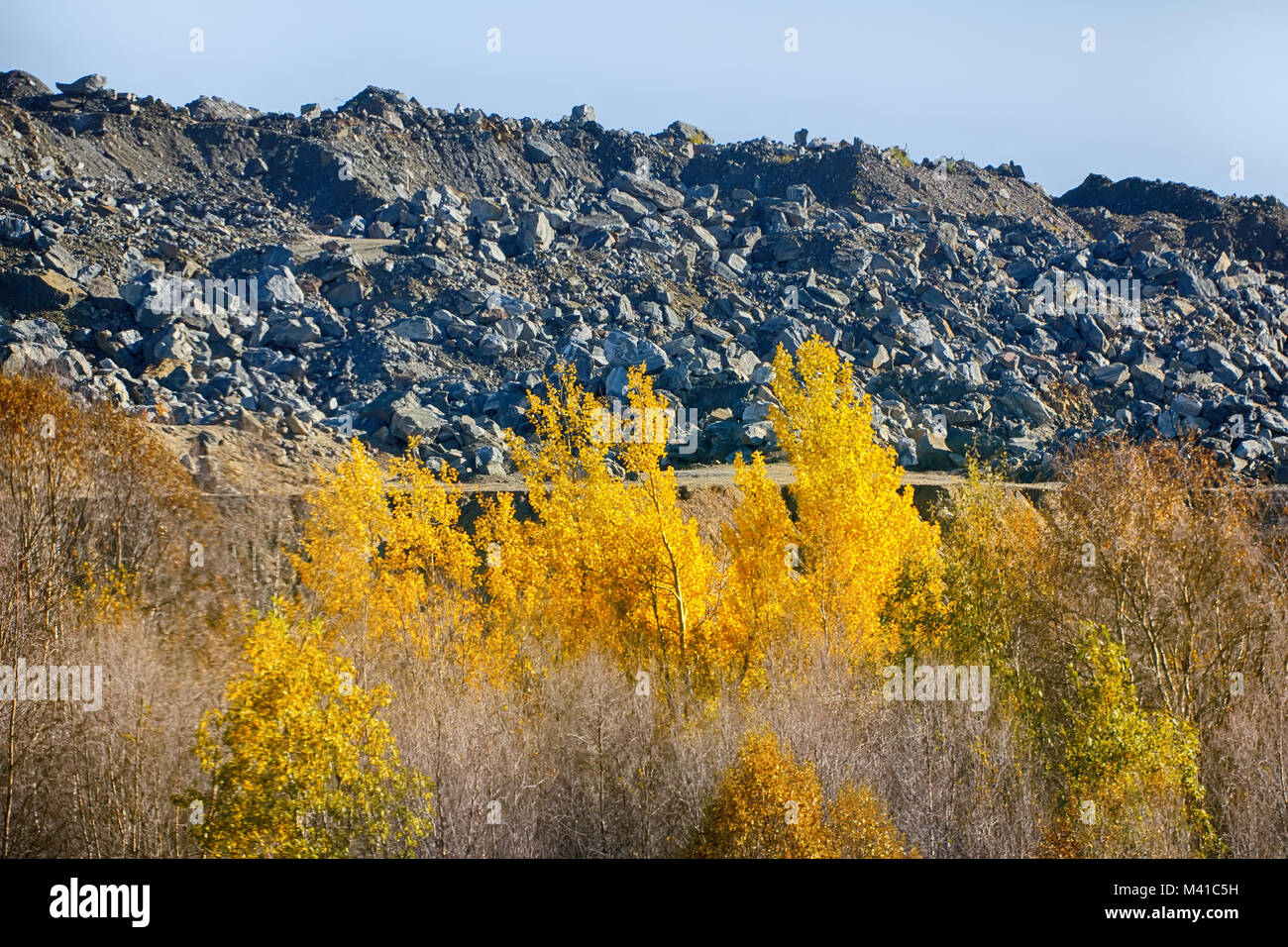 Colorful autumn forest and waste platinum and Nickel rocks at mine ...
