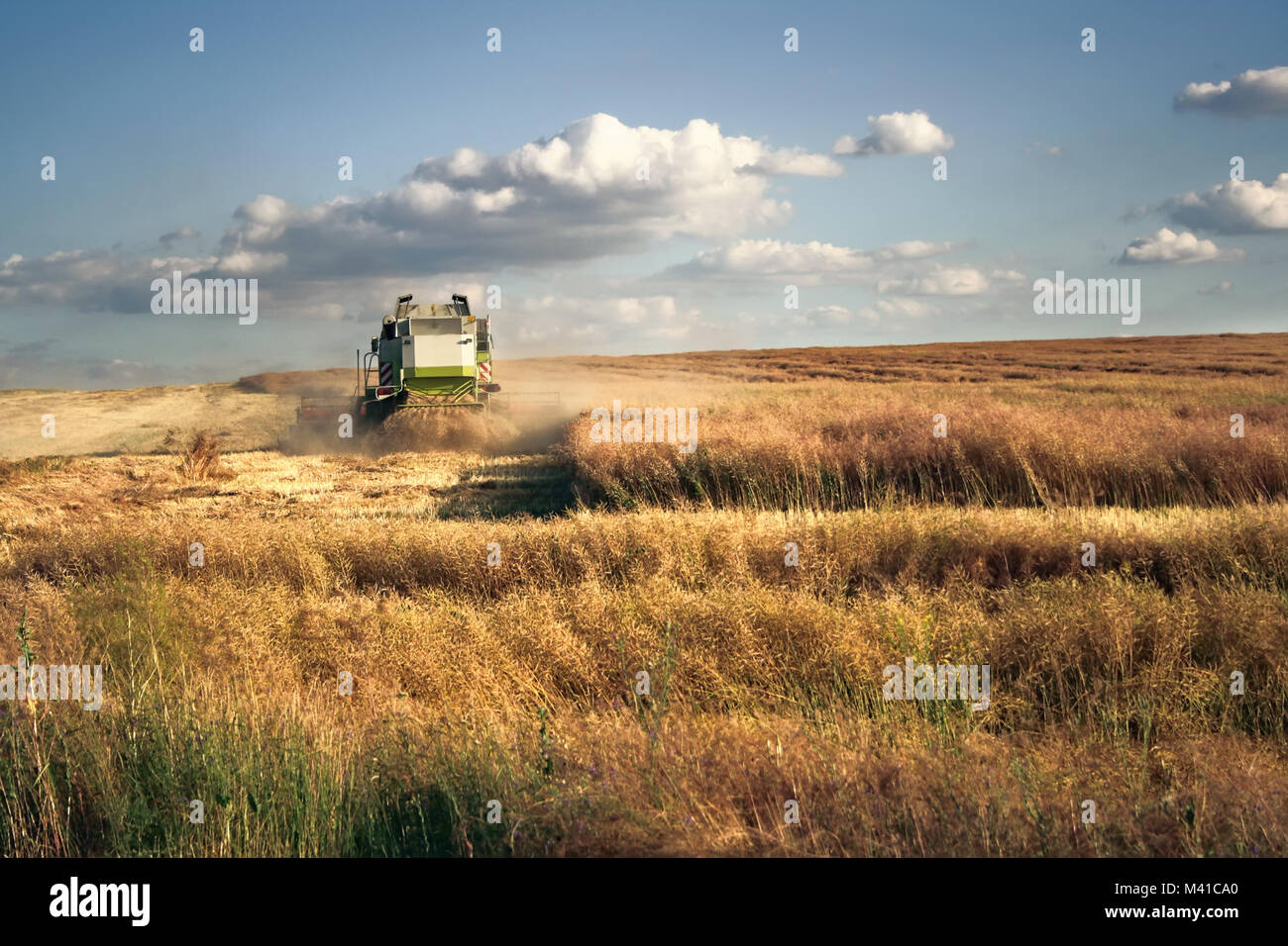 Combine harvester field wheat hi-res stock photography and images - Alamy