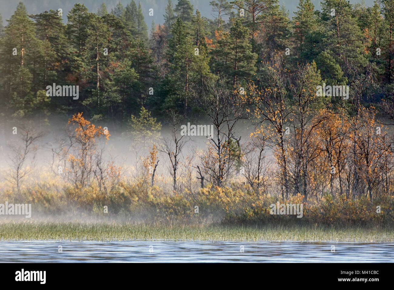 Magnetic fog hi-res stock photography and images - Alamy