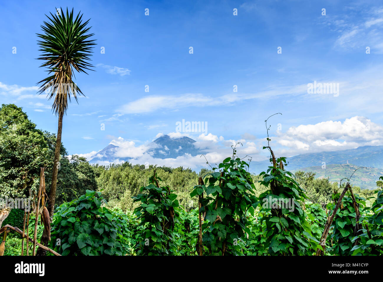 Farmland, forest & volanoes in Guatemalan highlands, Central America ...