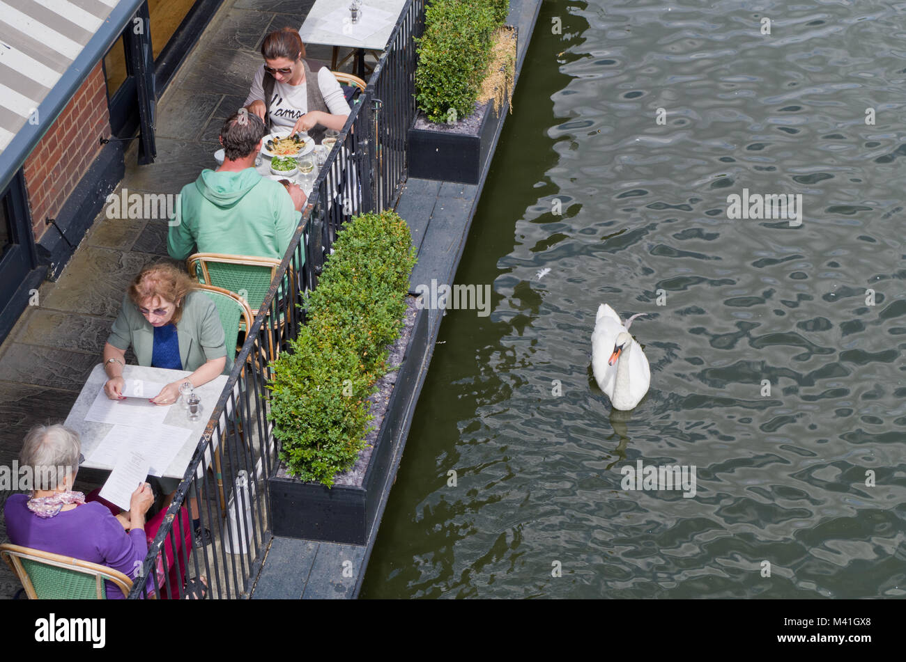 Cote brasserie hi-res stock photography and images - Alamy