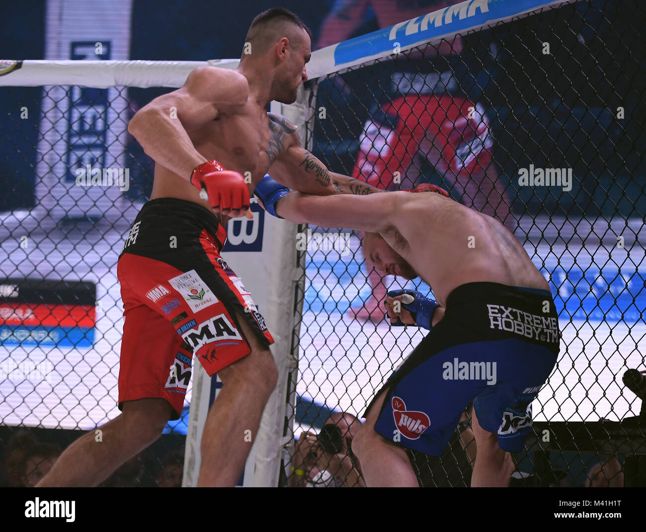 Kick Boxing Blood High Resolution Stock Photography and Images - Alamy
