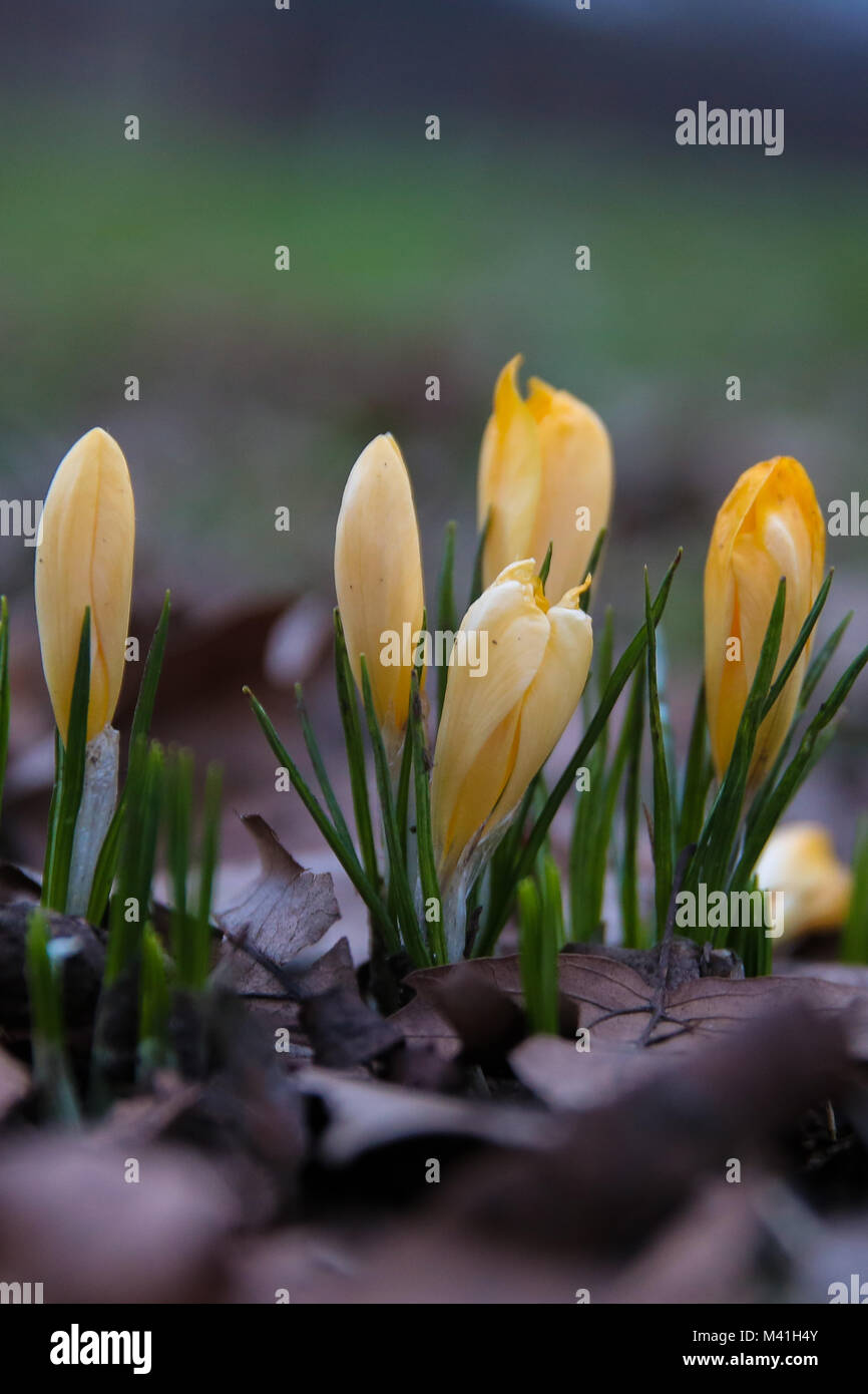 Signs featuring flowers hi-res stock photography and images - Alamy