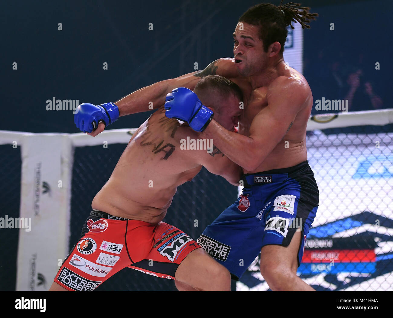 WARSAW, POLAND – MARCH 25, 2017: PLMMA Mixed Martial Arts Fight Night ...