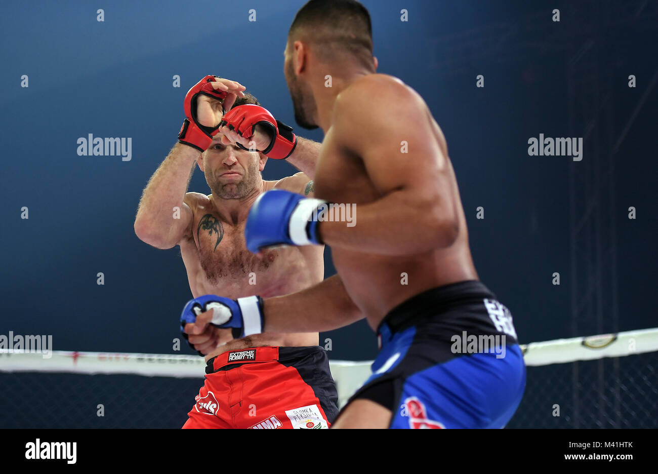 Cage fighter hi-res stock photography and images - Alamy