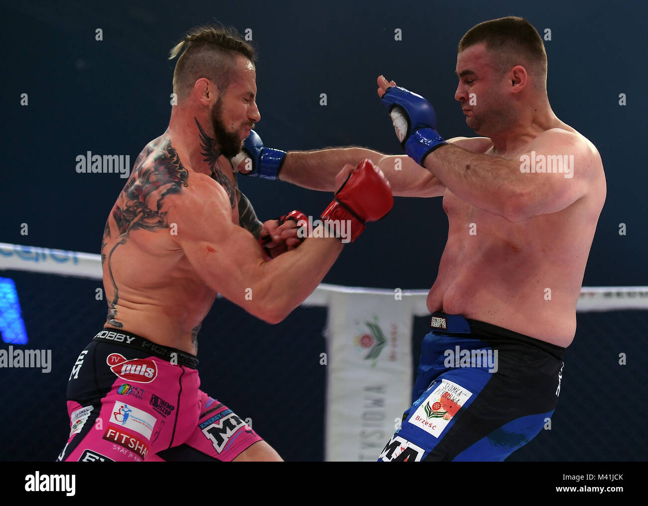 WARSAW, POLAND – MARCH 25, 2017: PLMMA Mixed Martial Arts Fight Night ...