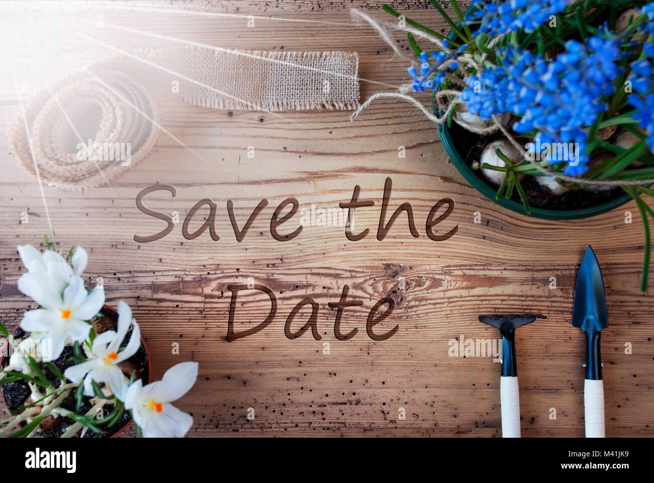 English Text Save The Date. Sunny Spring Flowers Like Grape Hyacinth ...