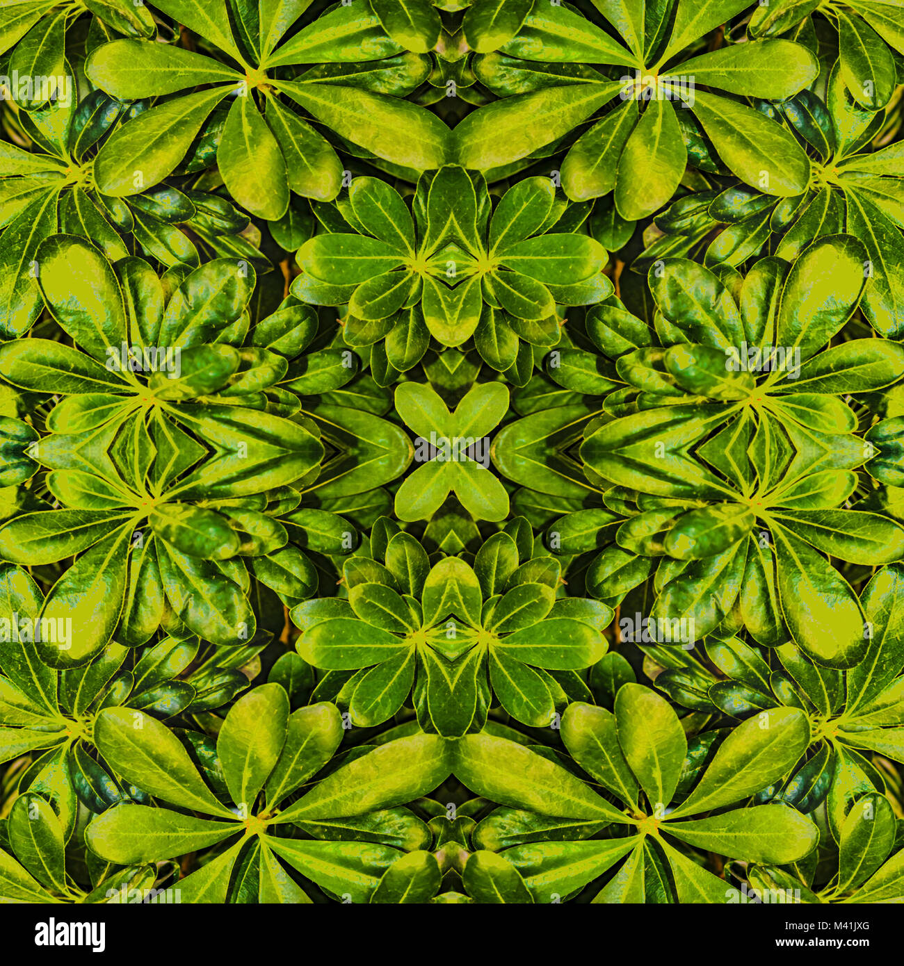 Digital photo collage and manipulation technique leaves nature motif ...