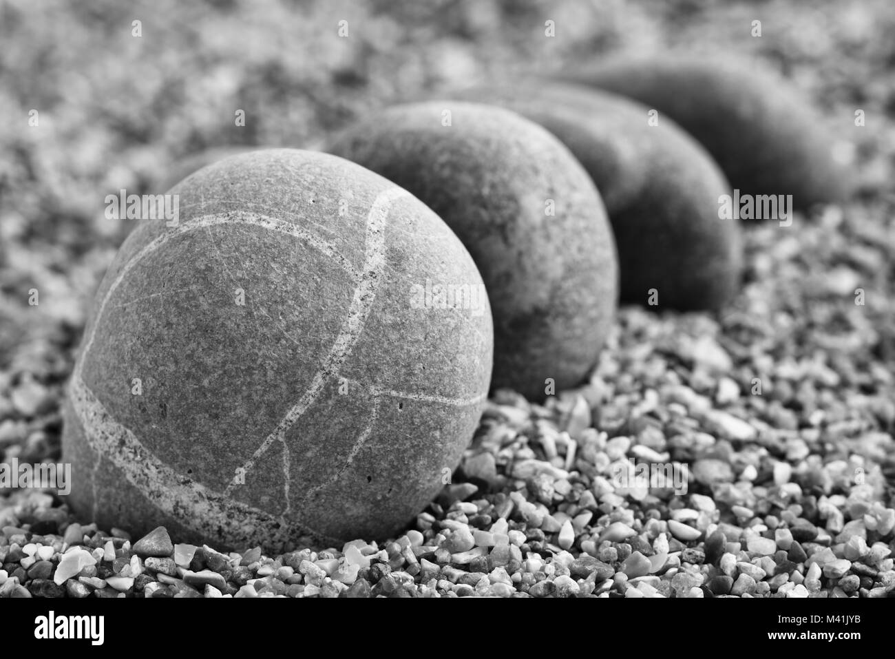 Still life of Beach objects taken in Black and White Stock Photo - Alamy