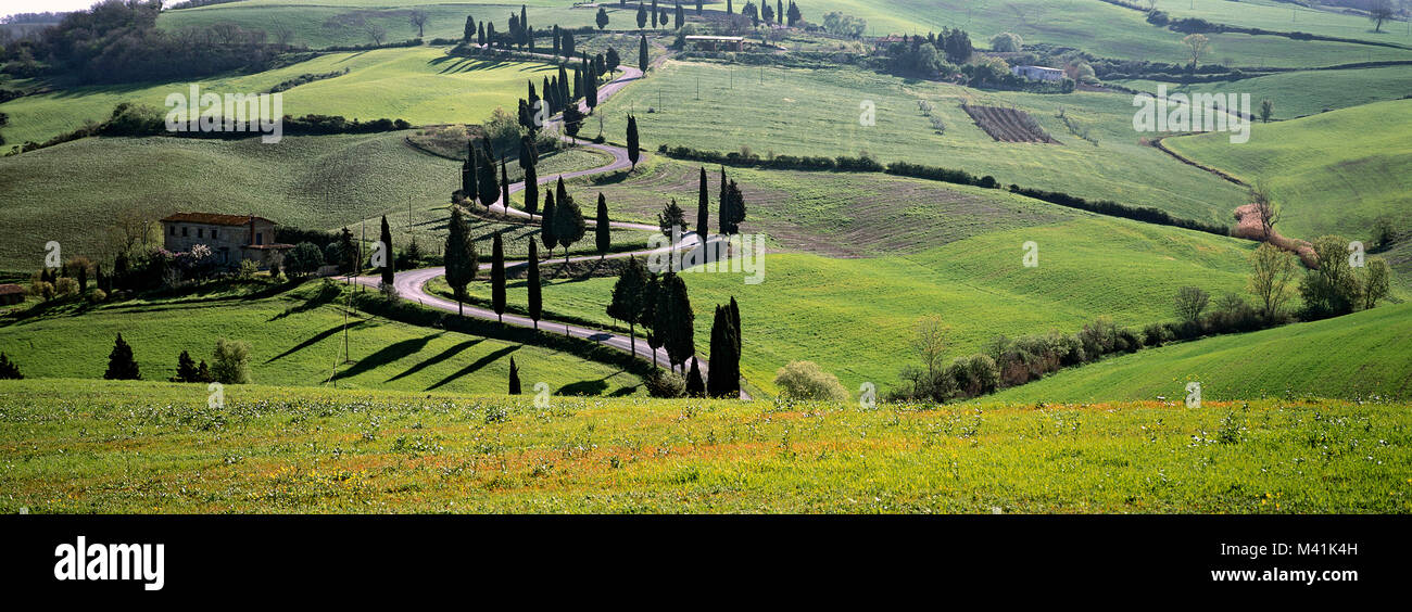 Italy, Tuscany, Sienna Province, landscape with ridges, winding road ...