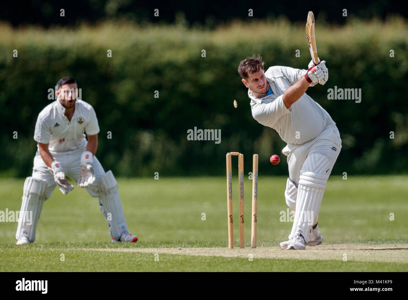 Batsman Out High Resolution Stock Photography and Images - Alamy