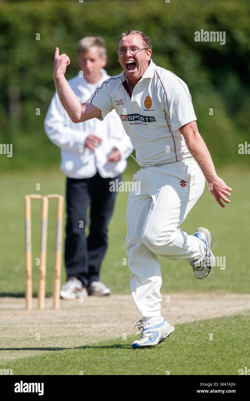 Cricket, bowler celebrating wicket Stock Photo - Alamy