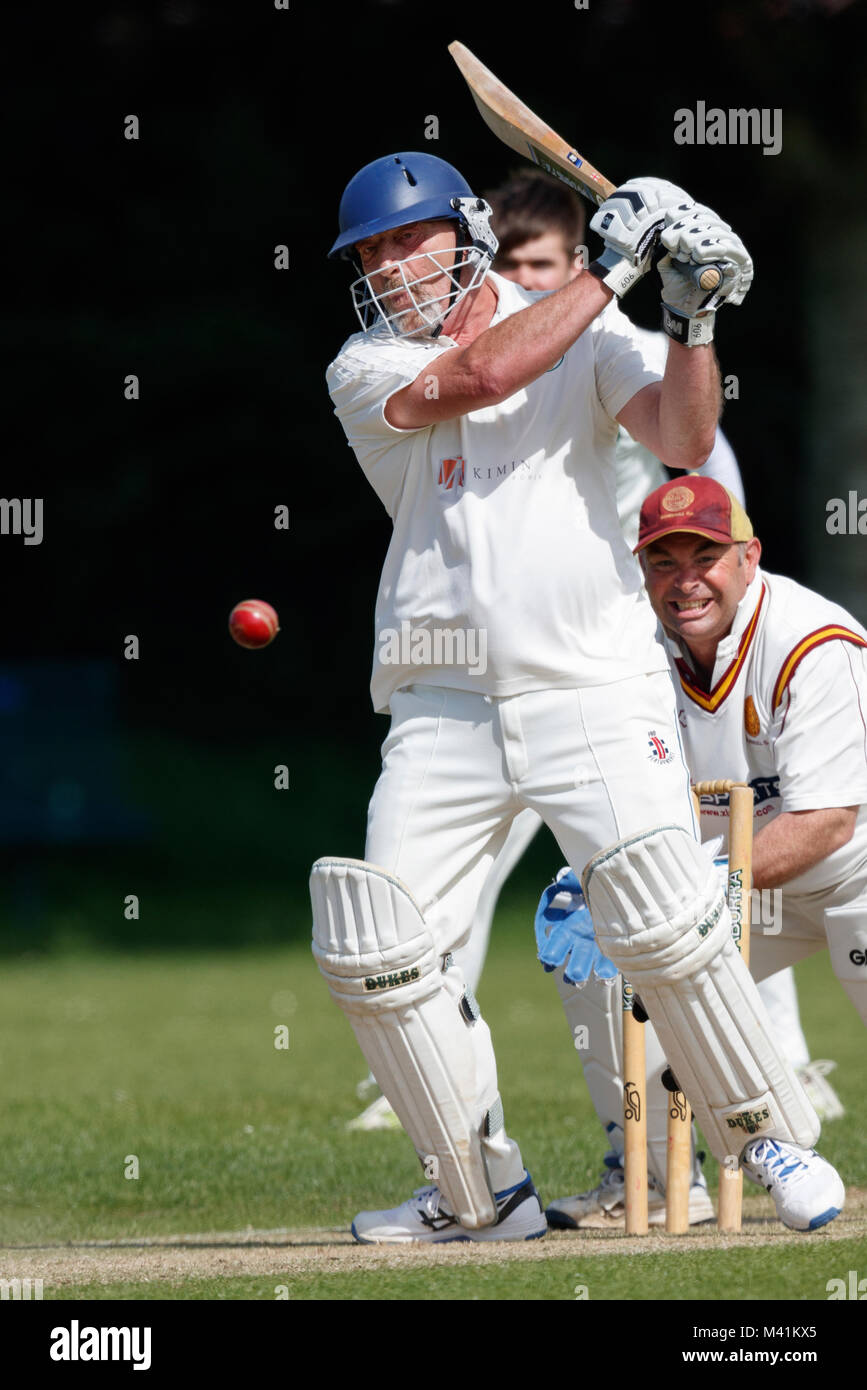Cricket batsman in action Stock Photo - Alamy