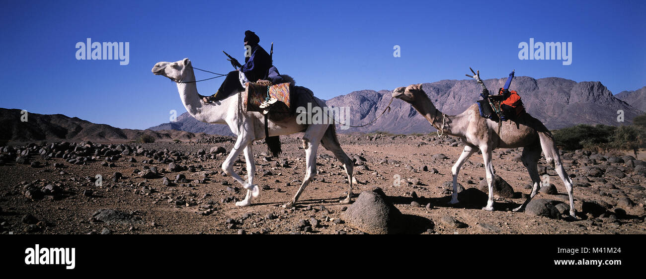 Niger, Sahara, Tenere desert, tuareg camel rider Stock Photo - Alamy