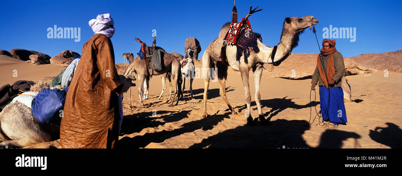 Libya tuareg camel africa desert hi-res stock photography and images ...
