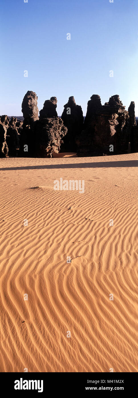 The sahara forest hi-res stock photography and images - Alamy