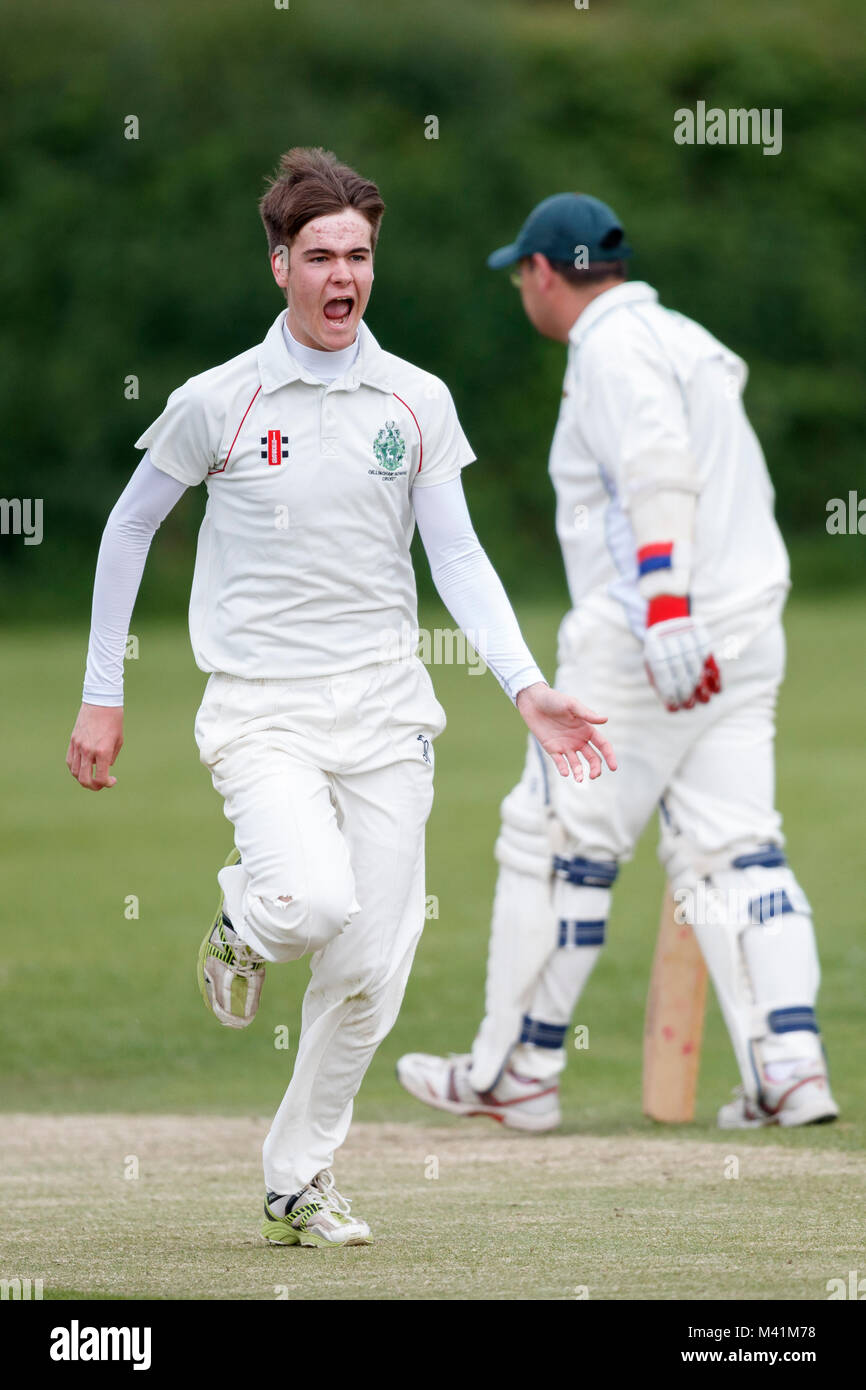 Cricket, bowler celebrating wicket Stock Photo - Alamy