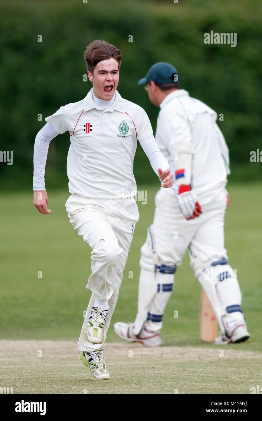 Cricket, bowler celebrating wicket Stock Photo - Alamy