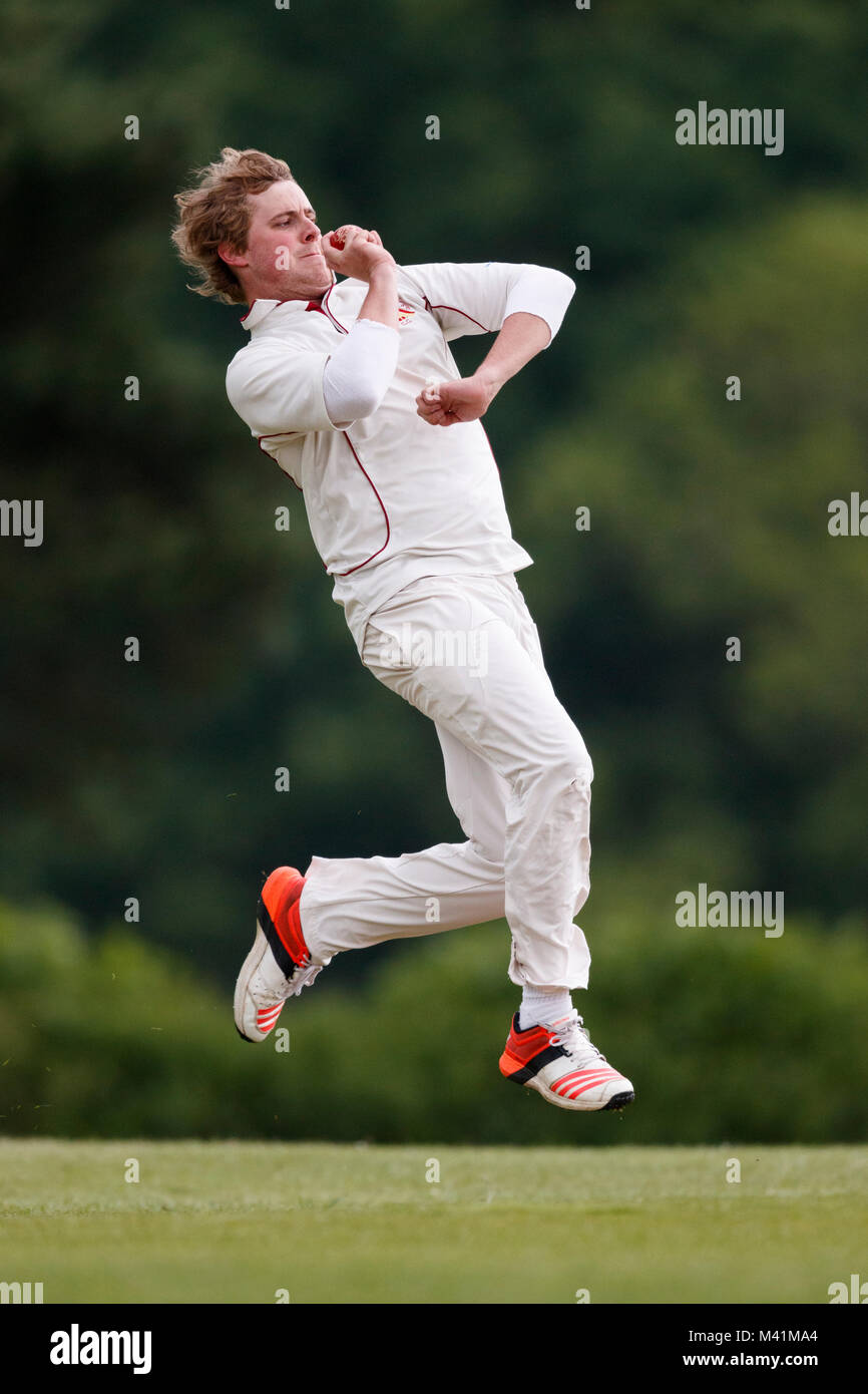 Cricket, bowler in action Stock Photo - Alamy