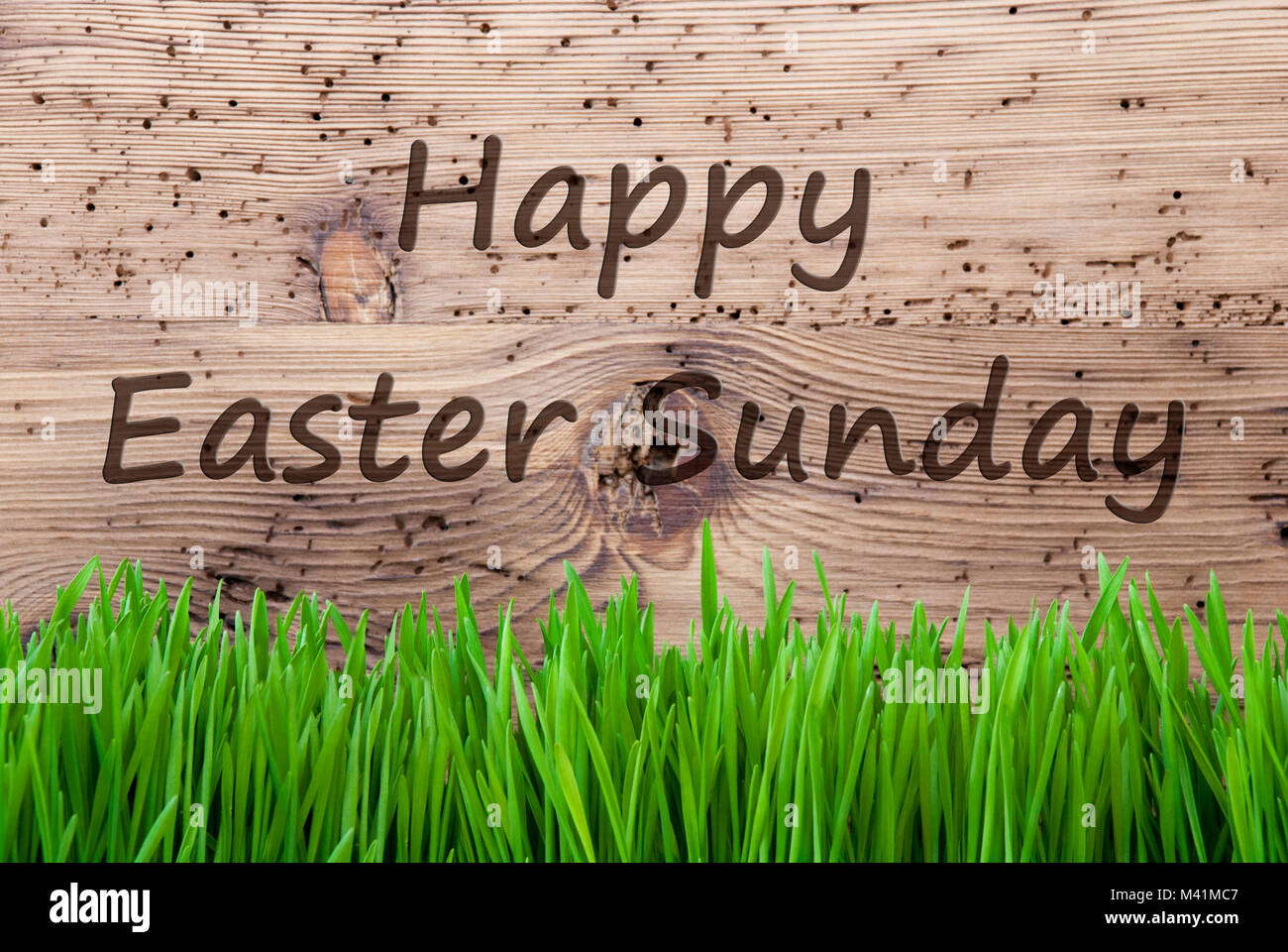 English Text Happy Easter Sunday. Spring Season Greeting Card. Bright ...