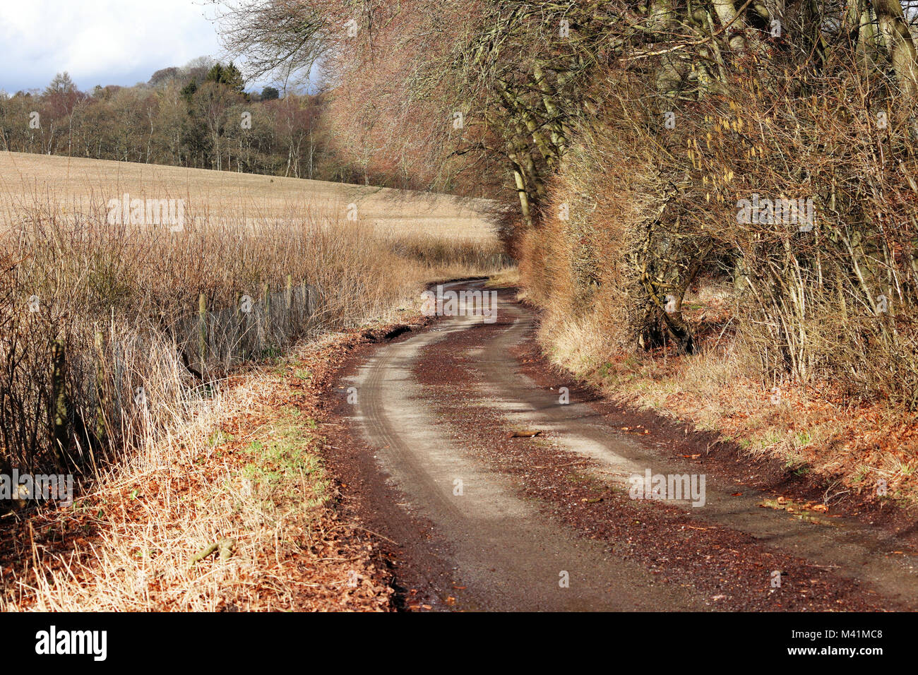 English rural lane hi-res stock photography and images - Alamy