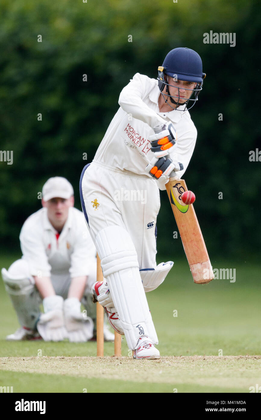 Cricket batsman in action Stock Photo - Alamy