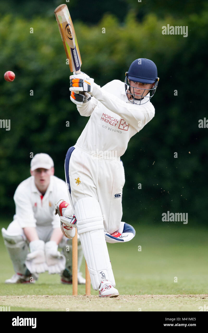 Cricket batsman in action Stock Photo - Alamy
